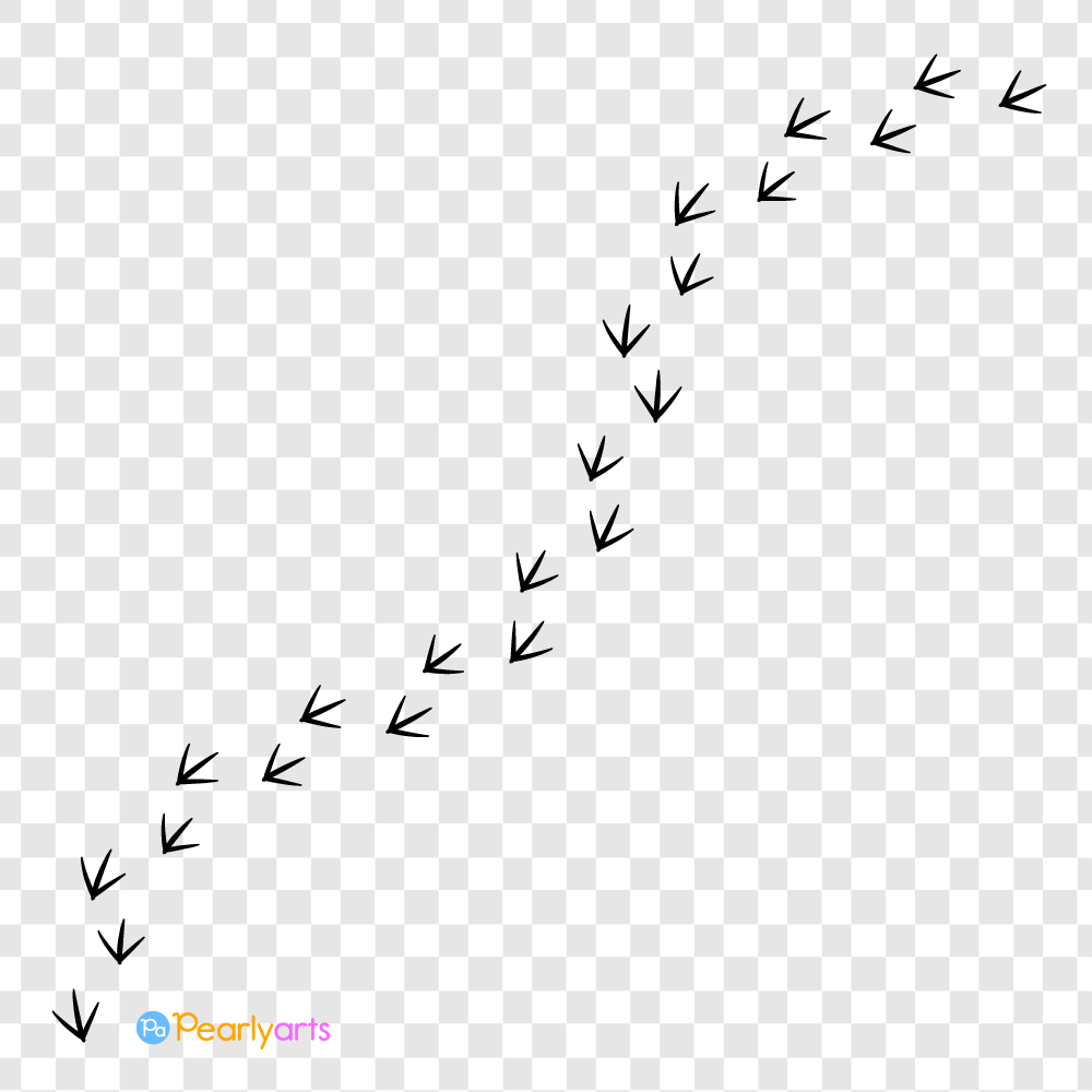 FREE Bird Track Clipart (Royalty-free) | Pearly Arts
