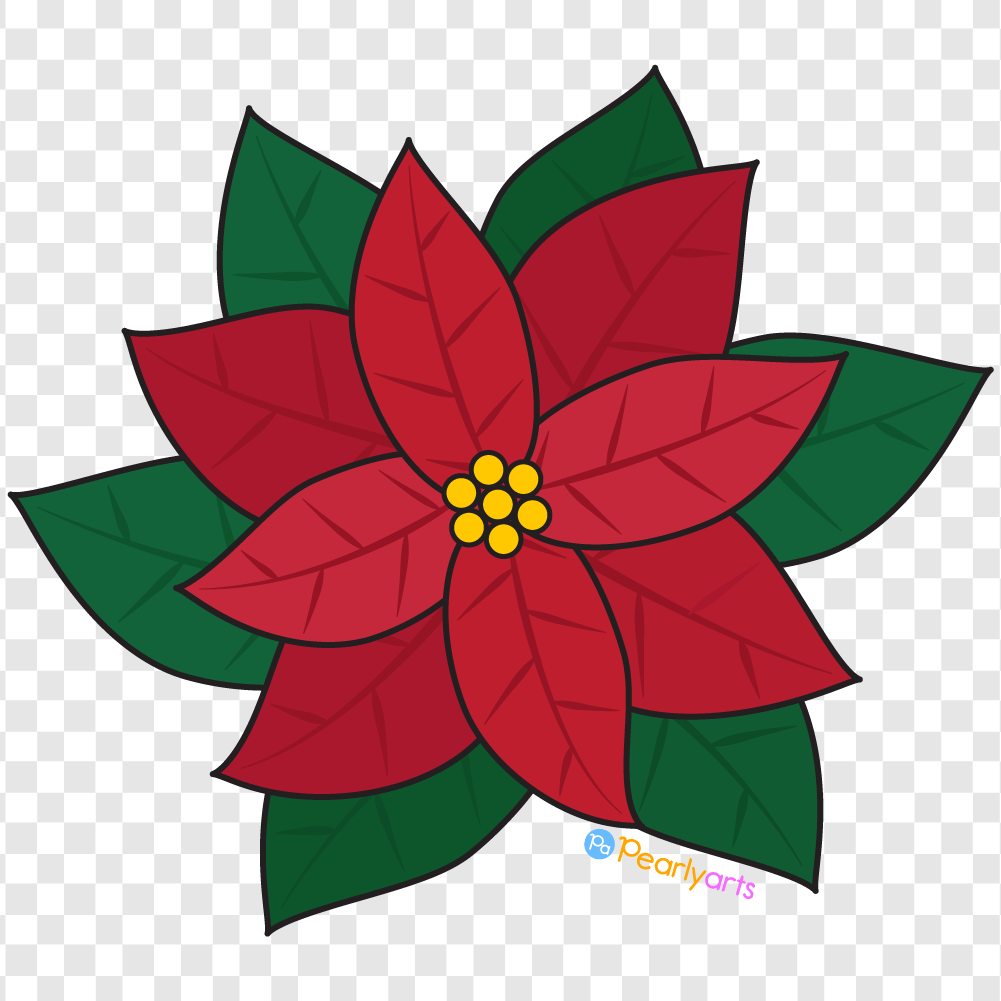 FREE Poinsettia Clipart | Transparent PNG | Pearly Arts